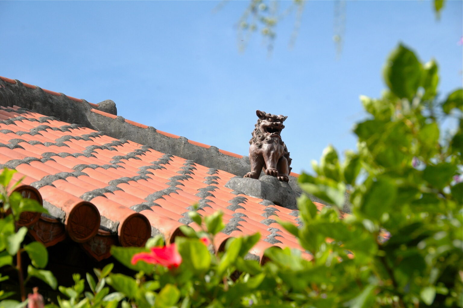 What are Shisa? Understanding Okinawa’s Guardian Lion-Dogs | LIVELY HOTELS