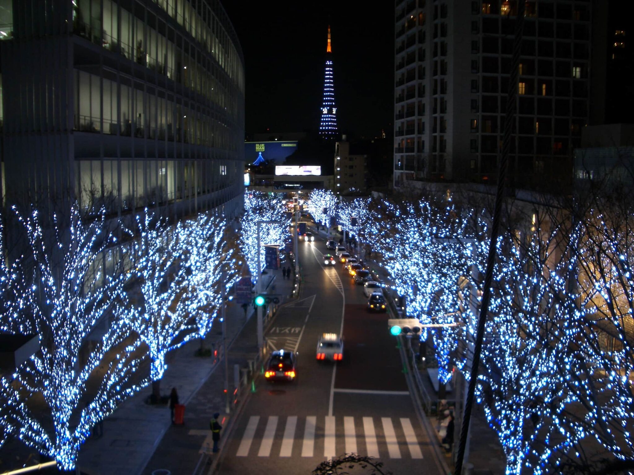 Top 5 Gorgeous Winter Illuminations in Tokyo! | LIVELY HOTELS