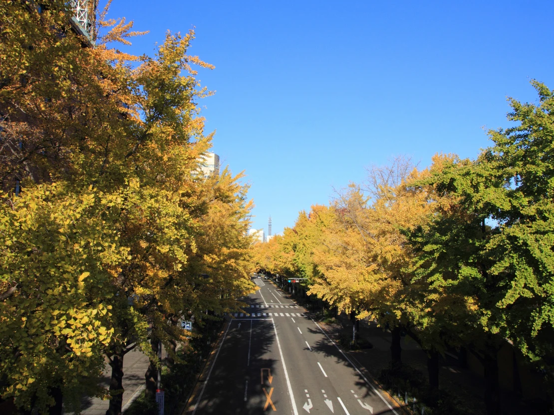 [2025] Best Autumn Foliage Spots Near slash kawasaki | LIVELY HOTELS